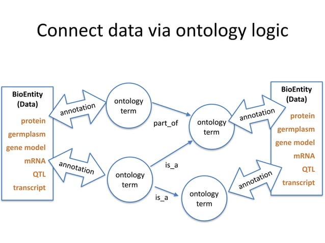 Ontology-based services for querying and mining plant genomic and phenomic data | PDF