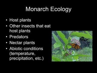 Monarch biology powerpoint presentation | PPT