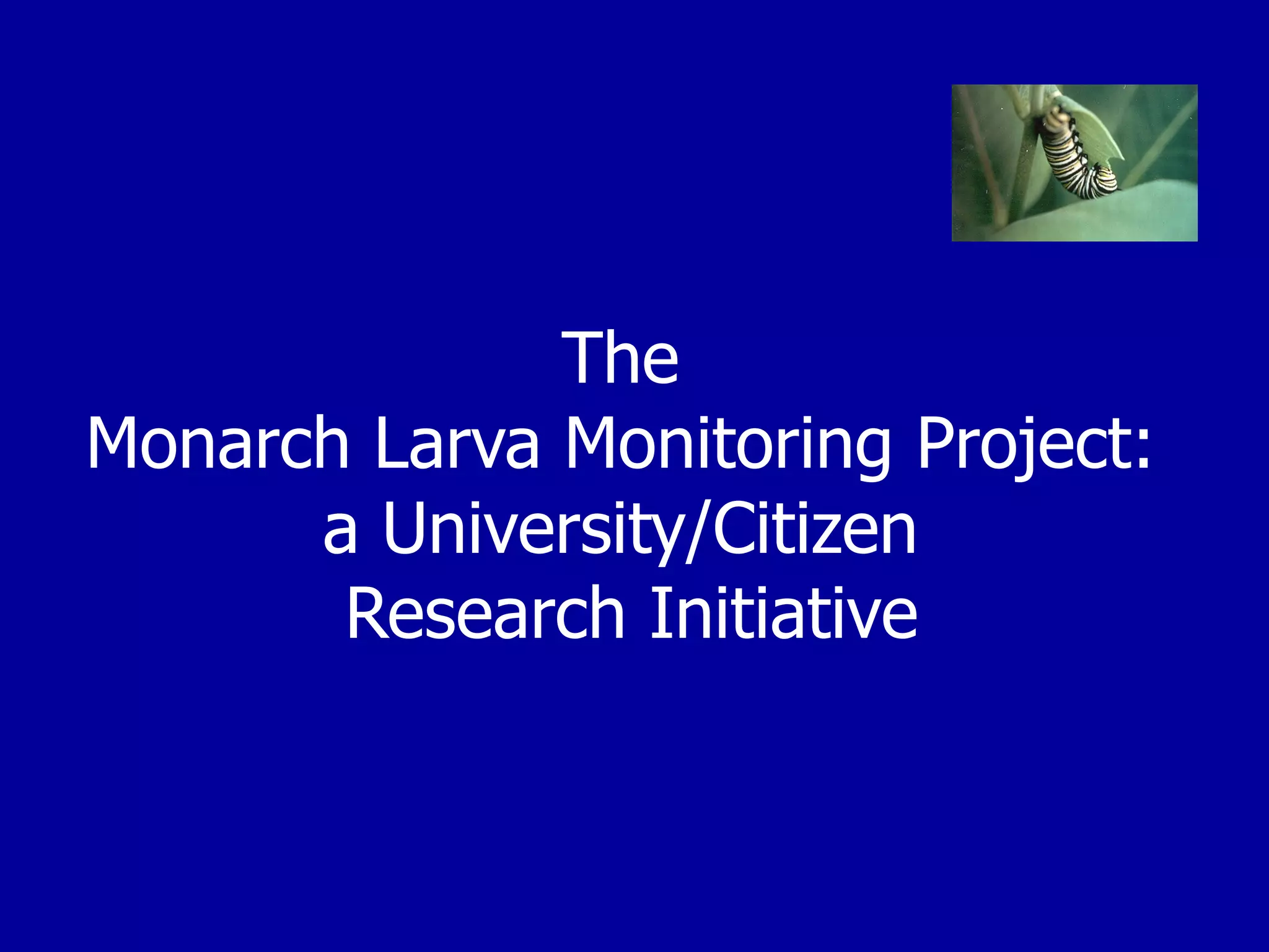 Monarch larva monitoring project powerpoint methods and_results | PPT