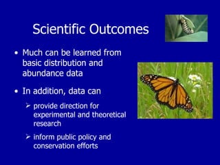 Monarch larva monitoring project powerpoint methods and_results | PPT