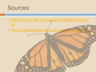 Monarch Butterfly Life Cycle | PPTX