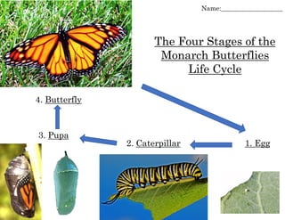 Monarch Butterfly Presentation and Lesson | PDF