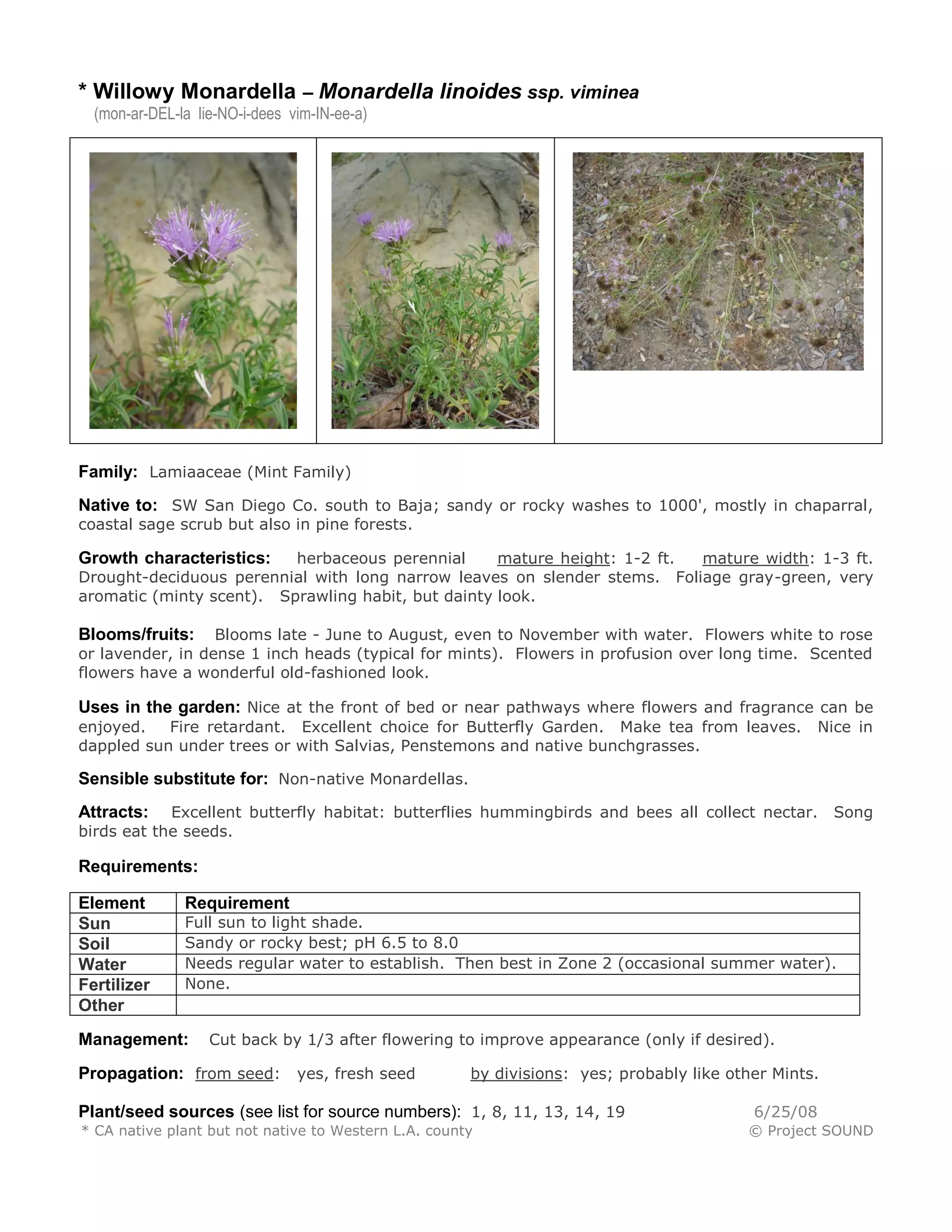 Monardella linoides | PDF