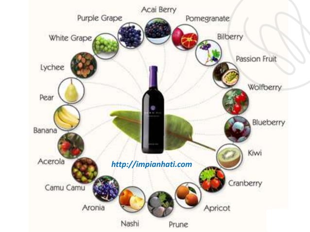 MonaVie Indonesia | PPSX