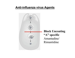 mondalanti-viral_drugs_f09.pdf