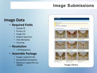 Megan Milton & Mallory Van Wyngaarden - Managing Barcode Data Library ...