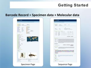 Megan Milton & Mallory Van Wyngaarden - Managing Barcode Data Library ...