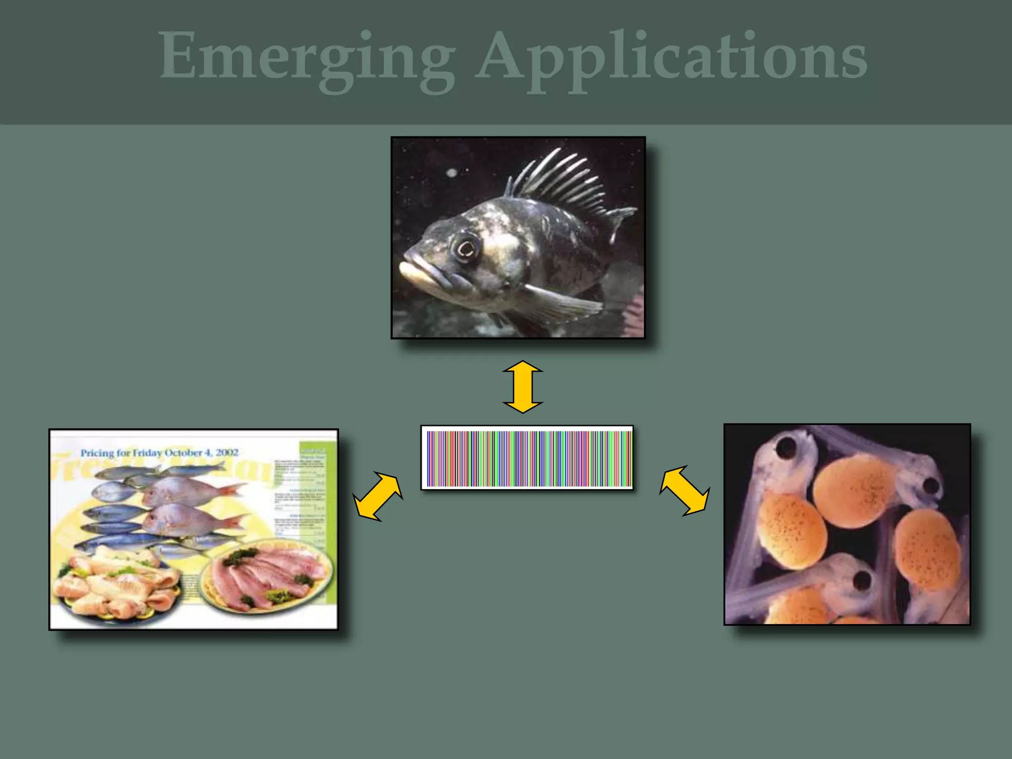 Dr Robert Hanner - Barcode Data standards for animals, plants & fungi ...
