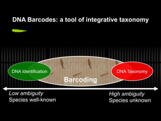 Dr Robert Hanner - Barcode Data standards for animals, plants & fungi | PPT