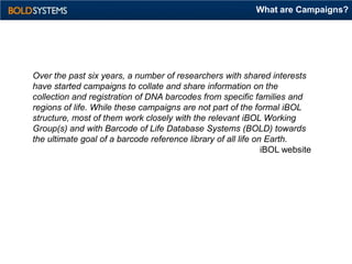 Dr Robert Hanner & Dr Dirk Steinke - Campaigns on BOLD | PPTX