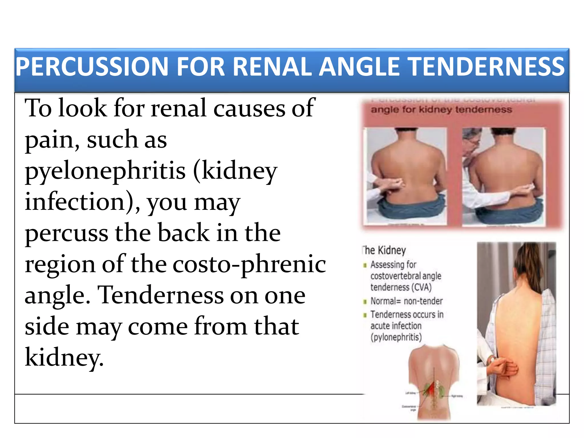 Monday final abdominal examination final ppt | PPTX