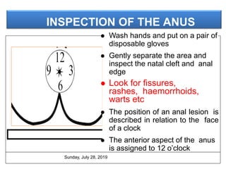 Monday final abdominal examination final ppt | PPT