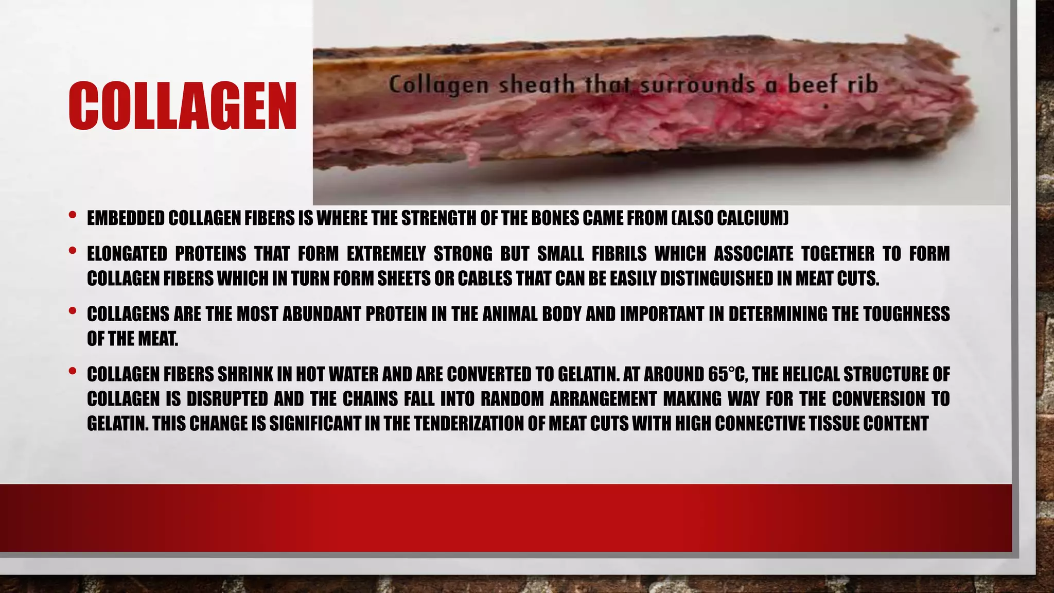 Meat : Structure, Composition and Characteristics. | PPTX