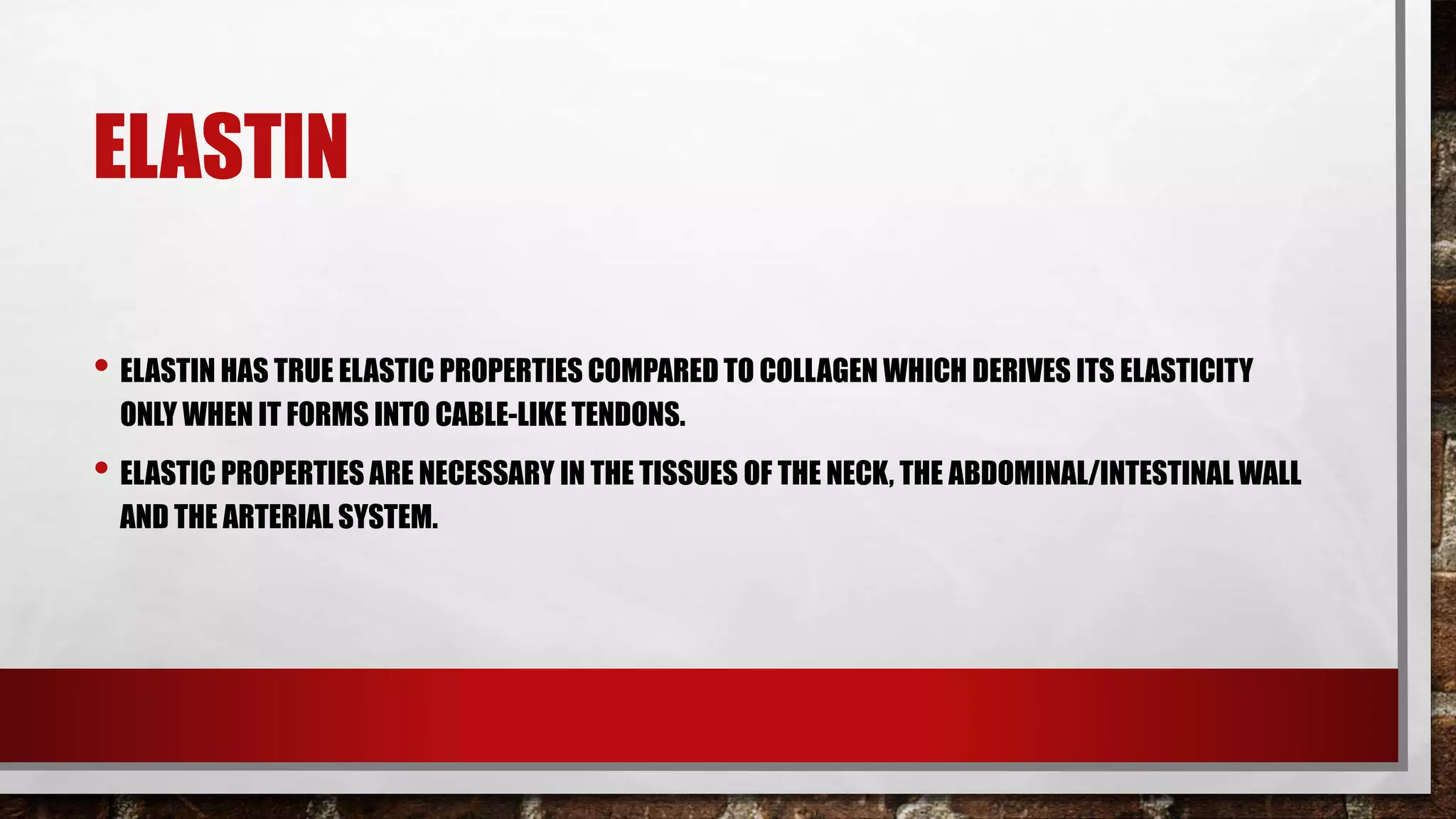 Meat : Structure, Composition and Characteristics. | PPTX