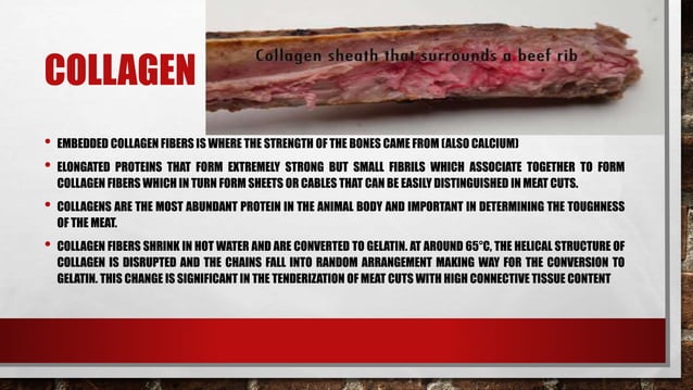 Meat : Structure, Composition and Characteristics. | PPTX