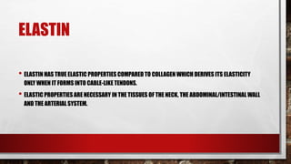 Meat : Structure, Composition and Characteristics. | PPTX