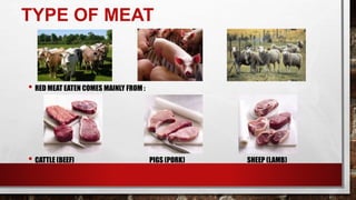 Meat : Structure, Composition and Characteristics. | PPTX