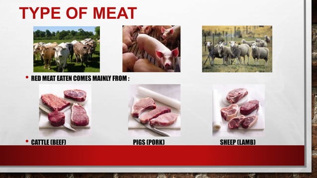 Meat : Structure, Composition and Characteristics. | PPTX