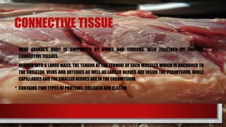 Meat : Structure, Composition and Characteristics. | PPTX