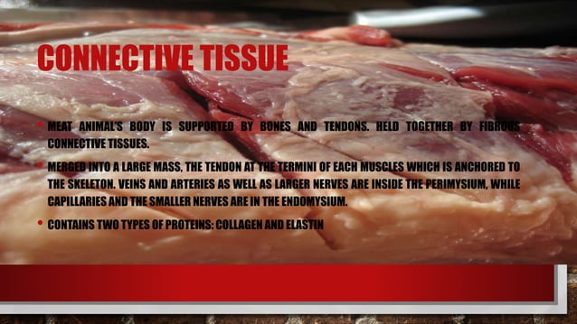 Meat : Structure, Composition and Characteristics. | PPTX