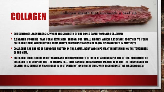 Meat : Structure, Composition and Characteristics.