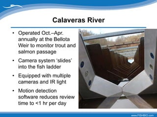 Use of Low-Cost, Autonomous, Underwater Camera Systems to Advance ...