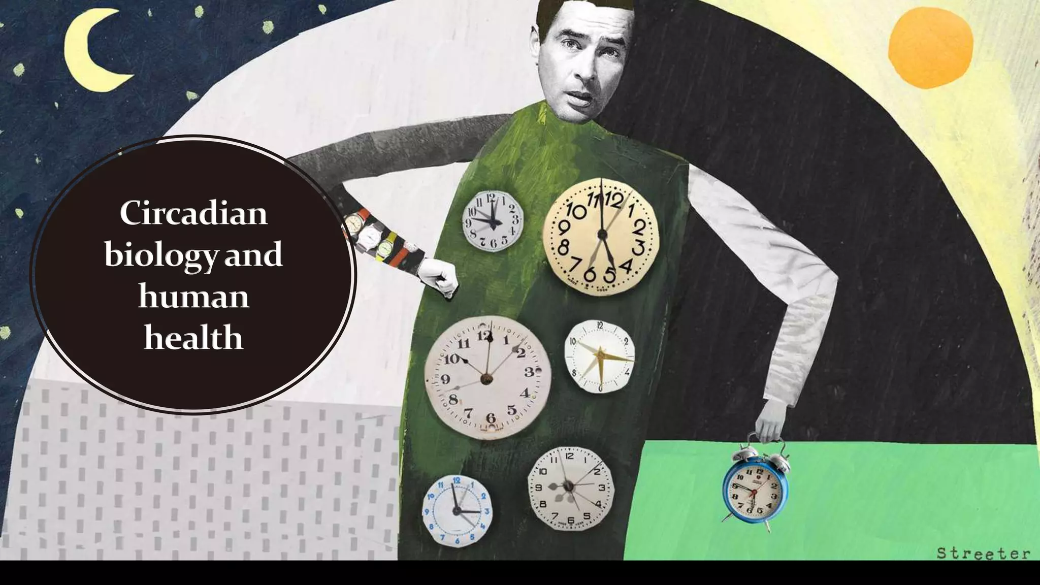 Molecular Mechanisms Controlling Circadian Rhythm | PPT