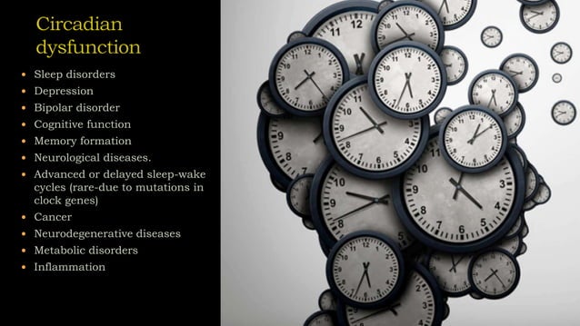 Molecular Mechanisms Controlling Circadian Rhythm | PPT