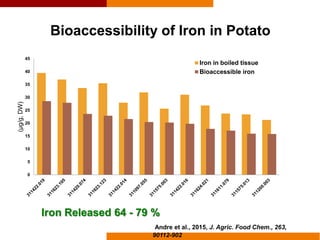 Theme 2: Development of mineral-biofortified potato to help overcome ...
