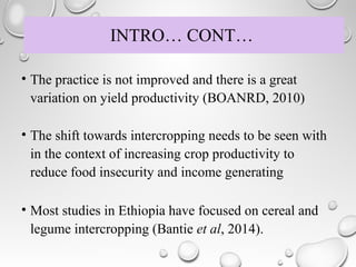 Monday 3: Maize and potato intercropping: a technology to increase ...