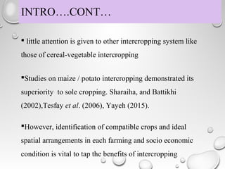 Monday 3: Maize and potato intercropping: a technology to increase ...