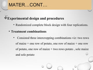 Monday 3: Maize and potato intercropping: a technology to increase ...