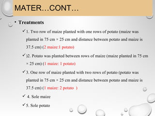 Monday 3: Maize and potato intercropping: a technology to increase ...