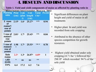 Monday 3: Maize and potato intercropping: a technology to increase ...