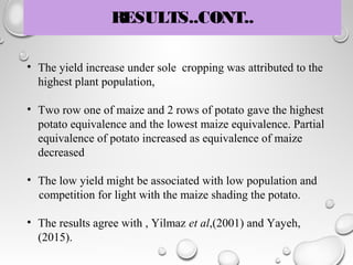 Monday 3: Maize and potato intercropping: a technology to increase ...