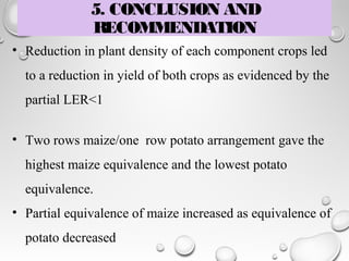Monday 3: Maize and potato intercropping: a technology to increase ...