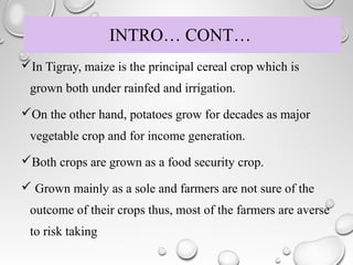 Monday 3: Maize and potato intercropping: a technology to increase ...