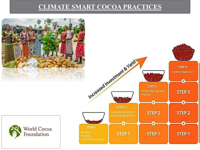 Mondlez international cocoa life | PPT