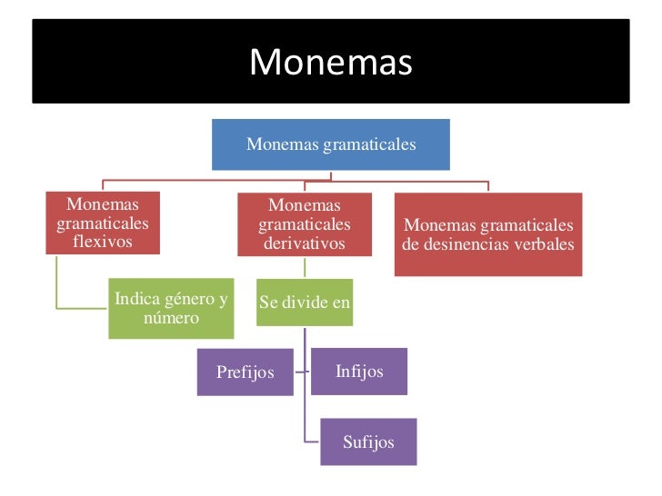 Monemas