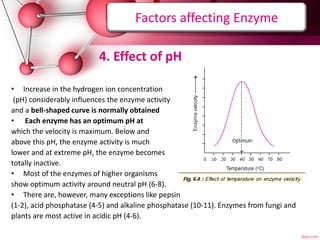 #BIOCHEMISTRY#ENZYME | PPT