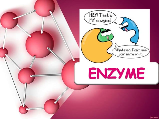 #BIOCHEMISTRY#ENZYME | PPT