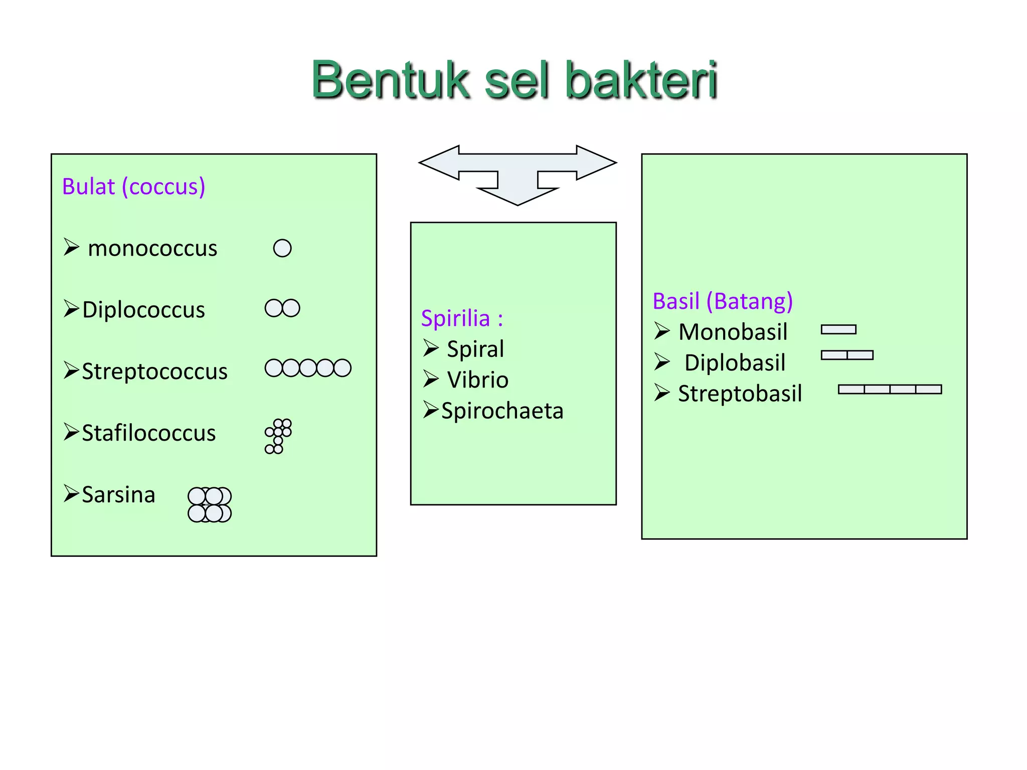 Monera kelas 10 semester 1 biologi sma | PPTX