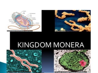 Monera | PPTX