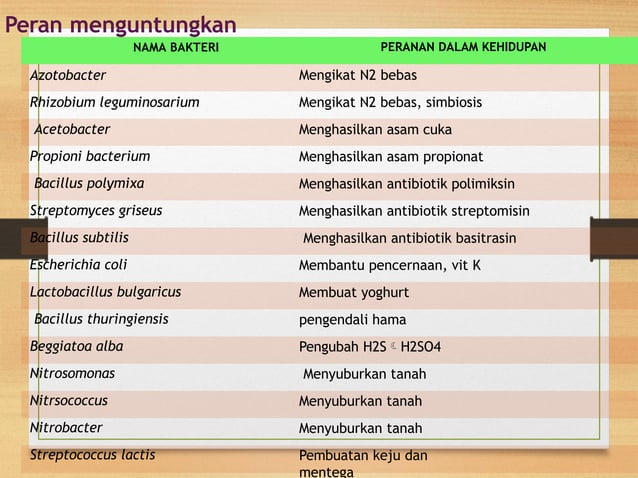 Klasifikasi kingdom monera pada materi keanekaragaman hayati | PPT