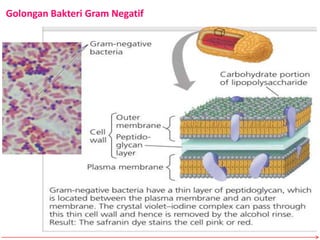 kingdom Monera----Bakteri-----kelas X SMA | PPT