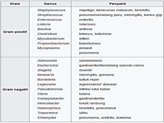 kingdom Monera----Bakteri-----kelas X SMA | PPT