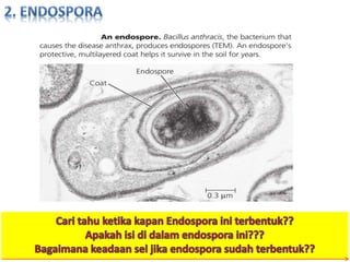 kingdom Monera----Bakteri-----kelas X SMA | PPT