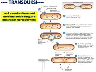 kingdom Monera----Bakteri-----kelas X SMA | PPT