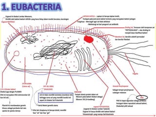 kingdom Monera----Bakteri-----kelas X SMA | PPT