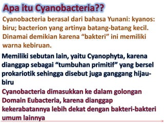 Monera cyanobacteria (alga hijau-biru)/Ganggang hijau biru | PPTX